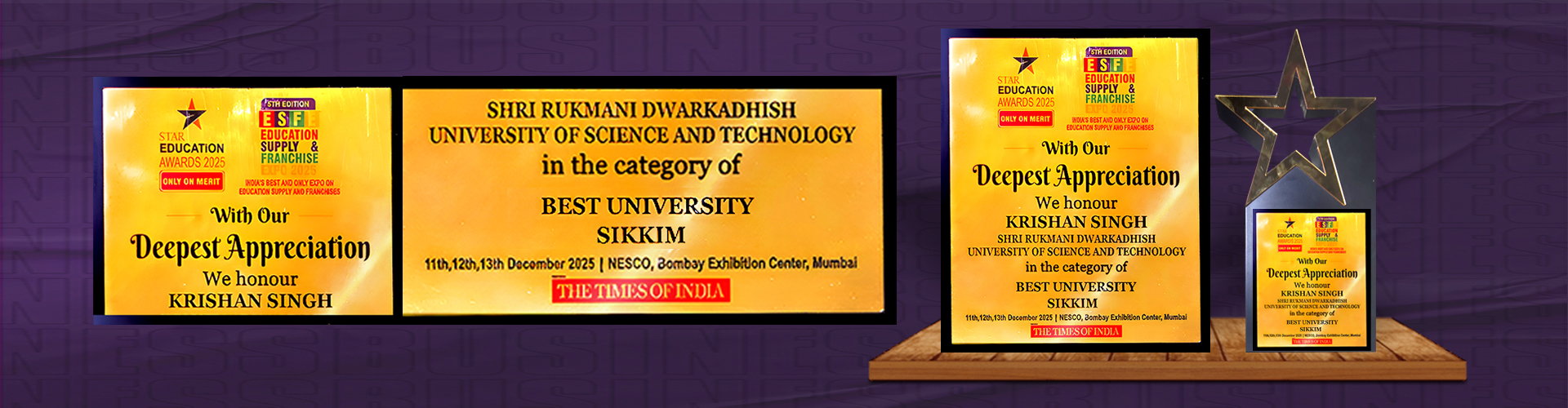 Shri Rukmani Dwarkadhish University of Science And Technology - SRDU