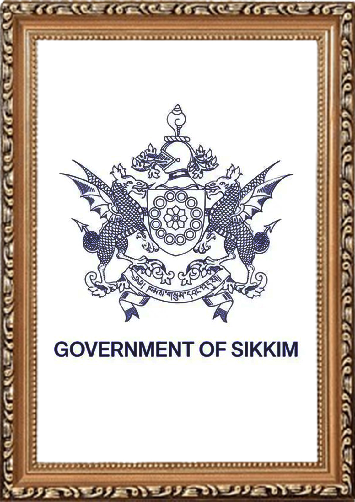 Shri Rukmani Dwarkadhish University of Science And Technology - SRDU